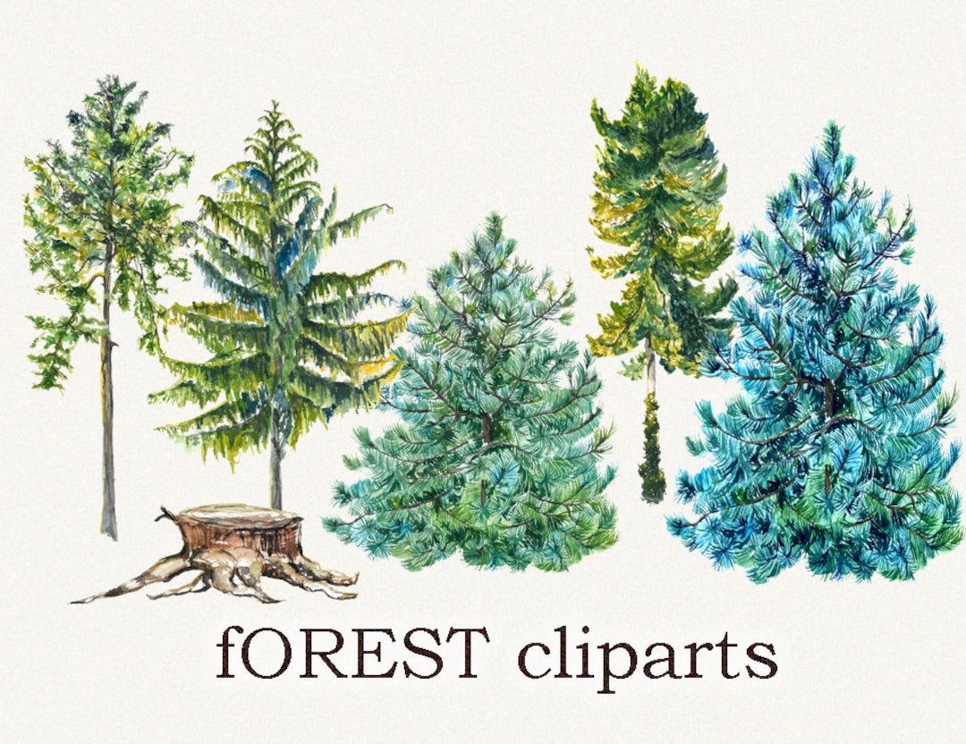 Tree Clipart, Pine Tree Clipart ,forest Clipart, Fir Clipart, Fir Tree ...