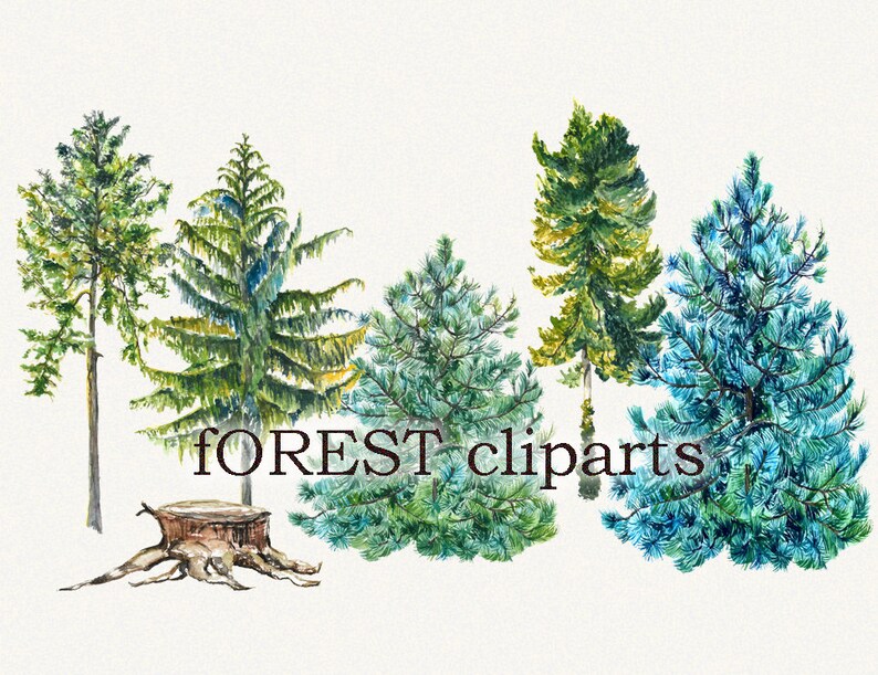 Tree Clipart, Pine Tree Clipart ,forest Clipart, Fir Clipart, Fir Tree ...
