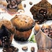 Muffin Clipart Cake Clipart Chocolate Cupcake Watercolor - Etsy