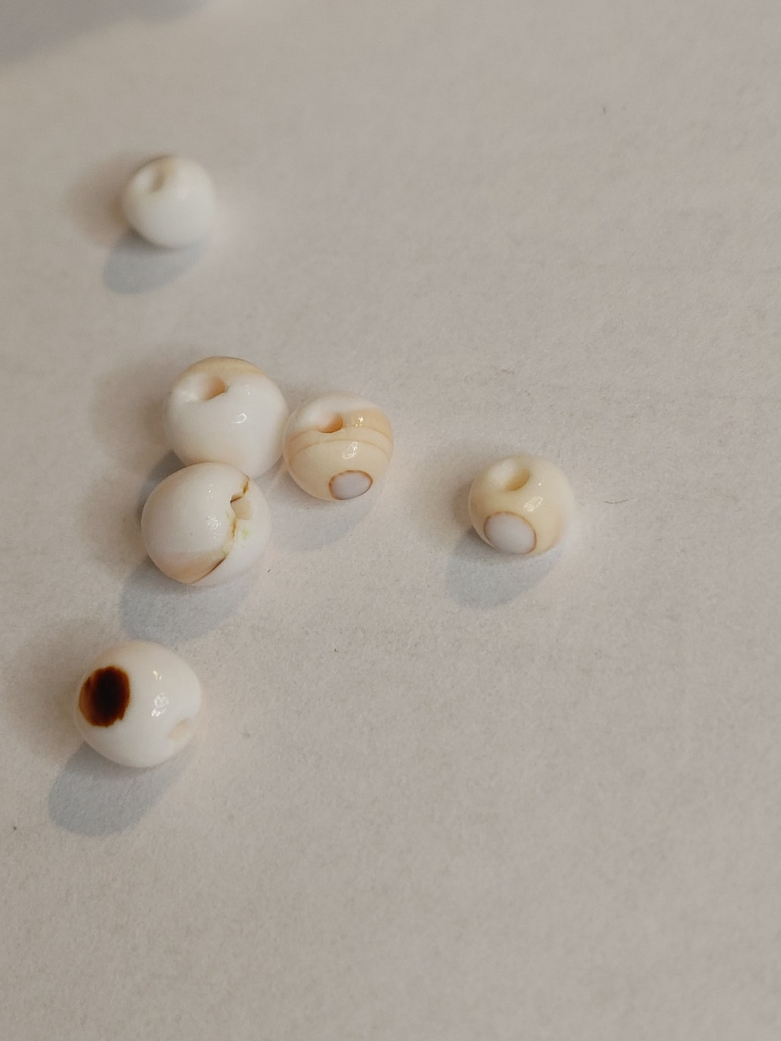 Phuket Shell Beads- Small, Medium and Large - Etsy