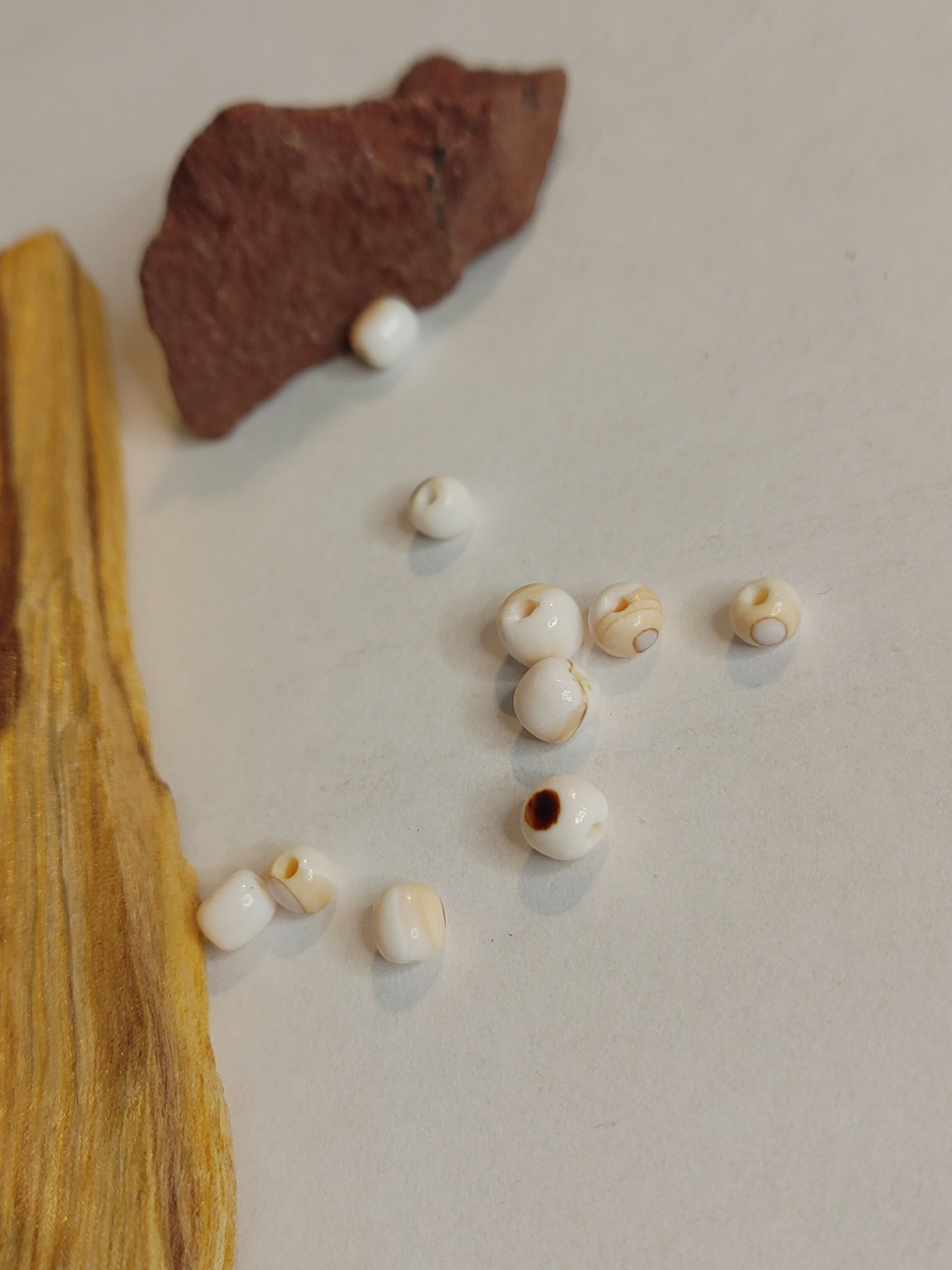 Phuket Shell Beads- Small, Medium and Large - Etsy