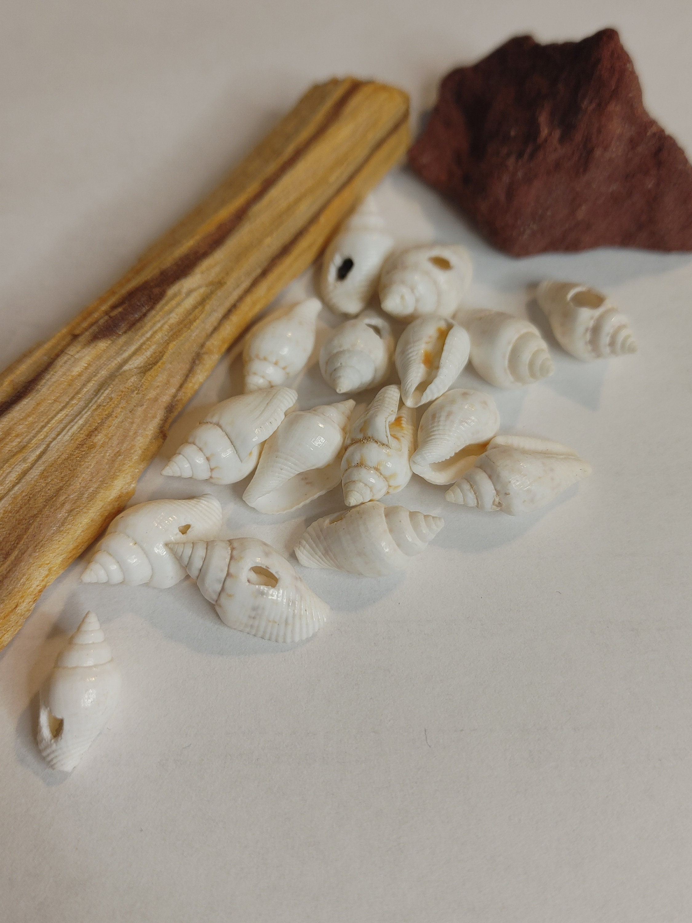 Phuket Shell Beads- Small, Medium and Large - Etsy