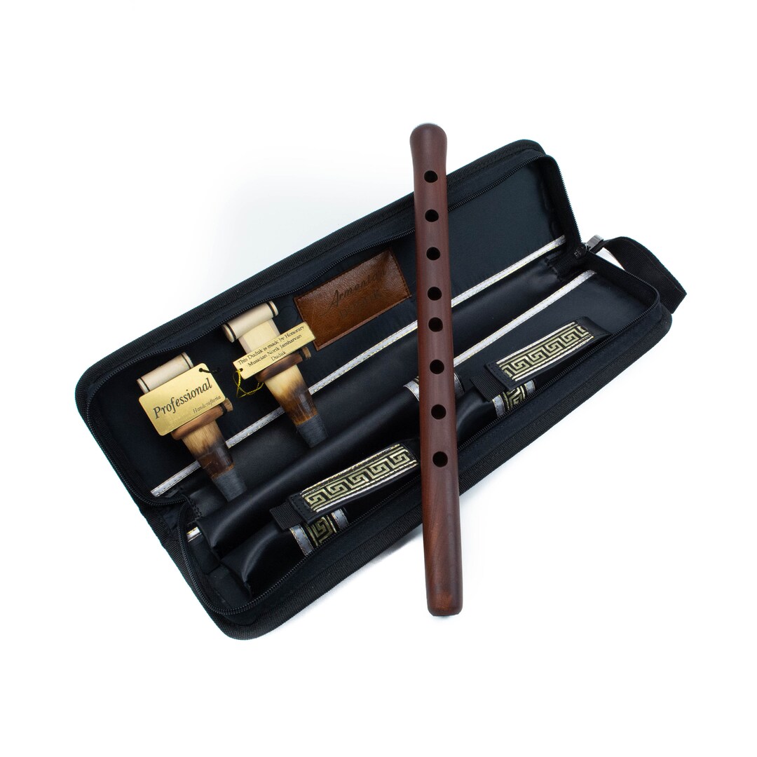 Professional Armenian DUDUK Instrument Apricot Wood Duduk - Etsy