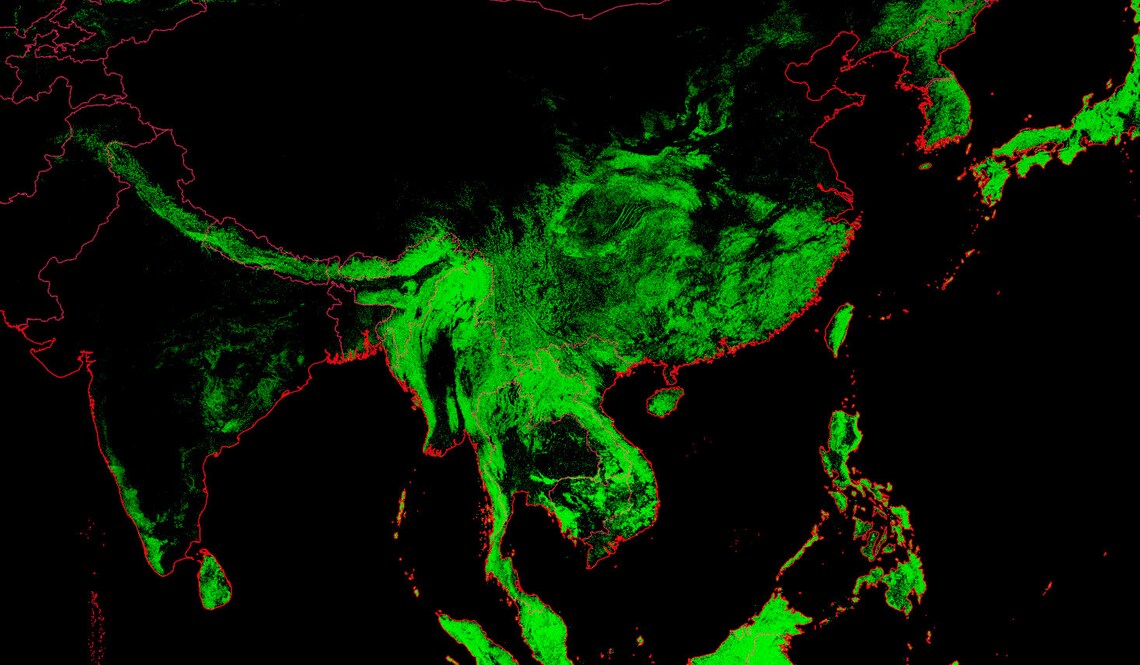 Forest Cover Map of the World high Resolution Digital Print Map Print ...