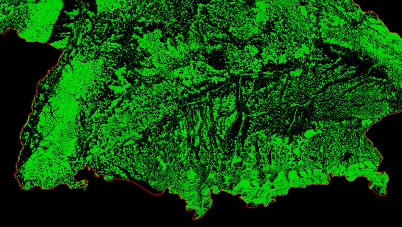Forest Cover Map of Germany high Resolution Digital Print - Etsy