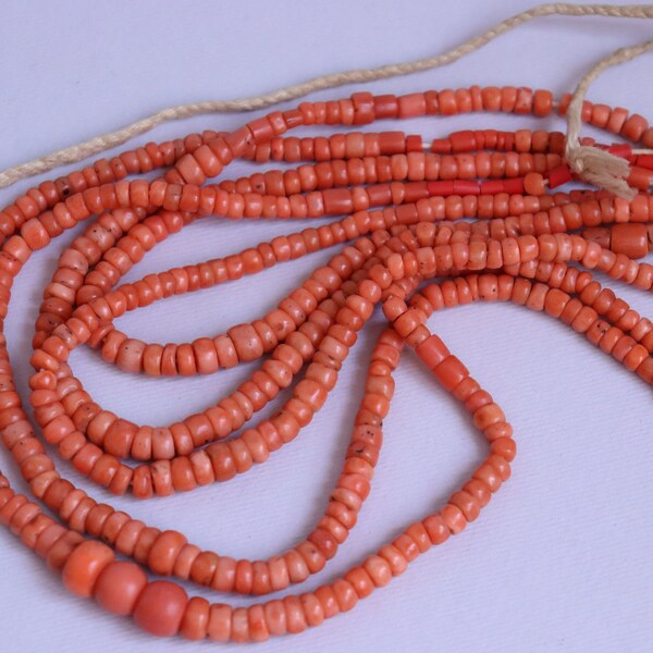 Coral Etsy Uk