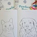 Pawfect Pets Animal Colouring / Activity Book and Pack of 6 Pencils ...