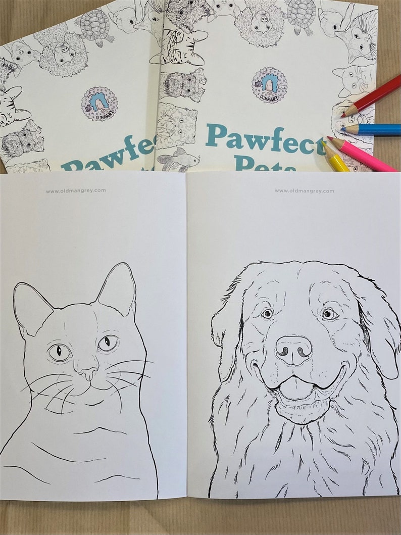 Pawfect Pets Animal Colouring / Activity Book and Pack of 6 Pencils ...