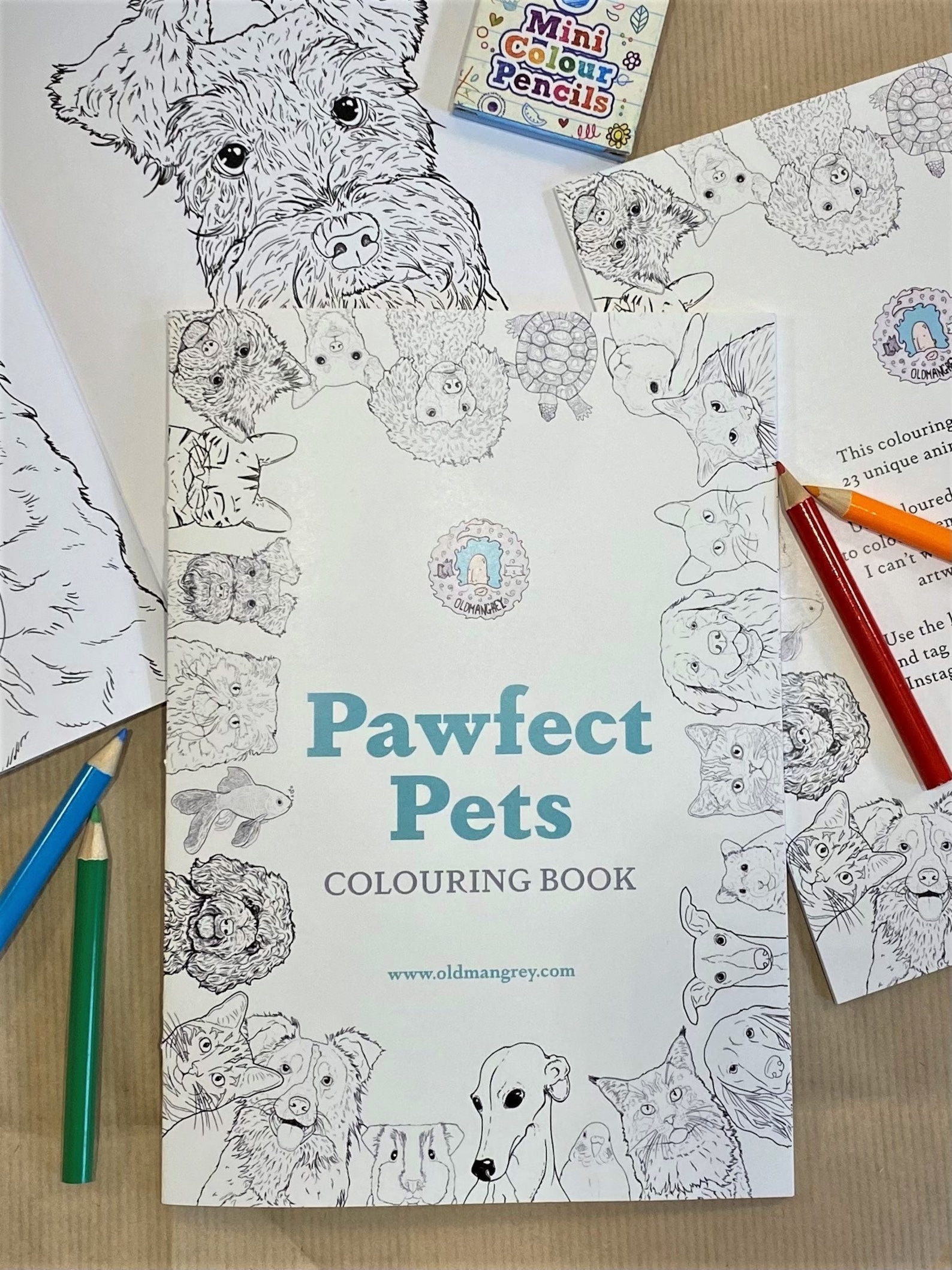 Pawfect Pets Animal Colouring / Activity Book and Pack of 6 Pencils for ...