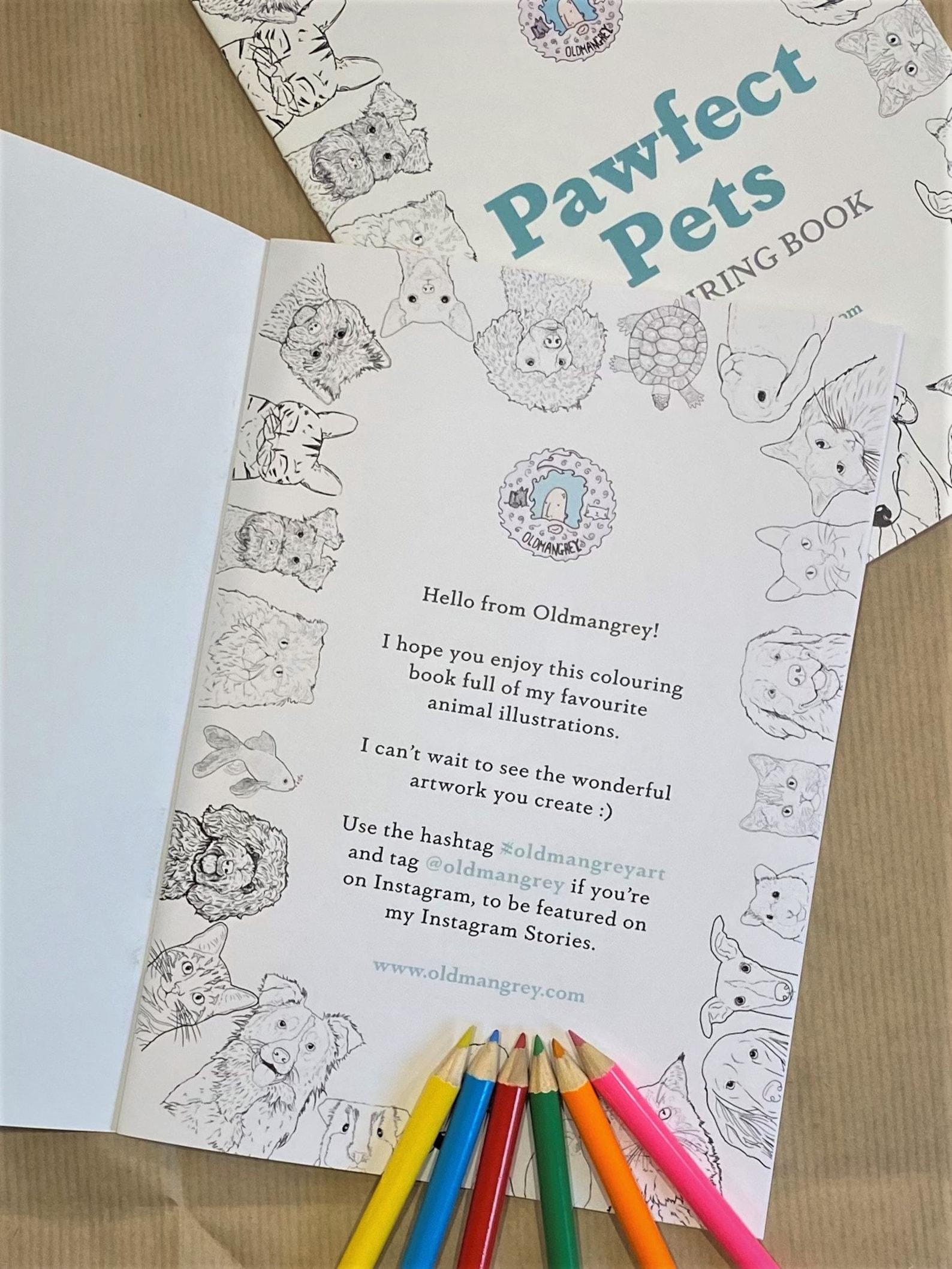 Pawfect Pets Animal Colouring / Activity Book and Pack of 6 Pencils for ...