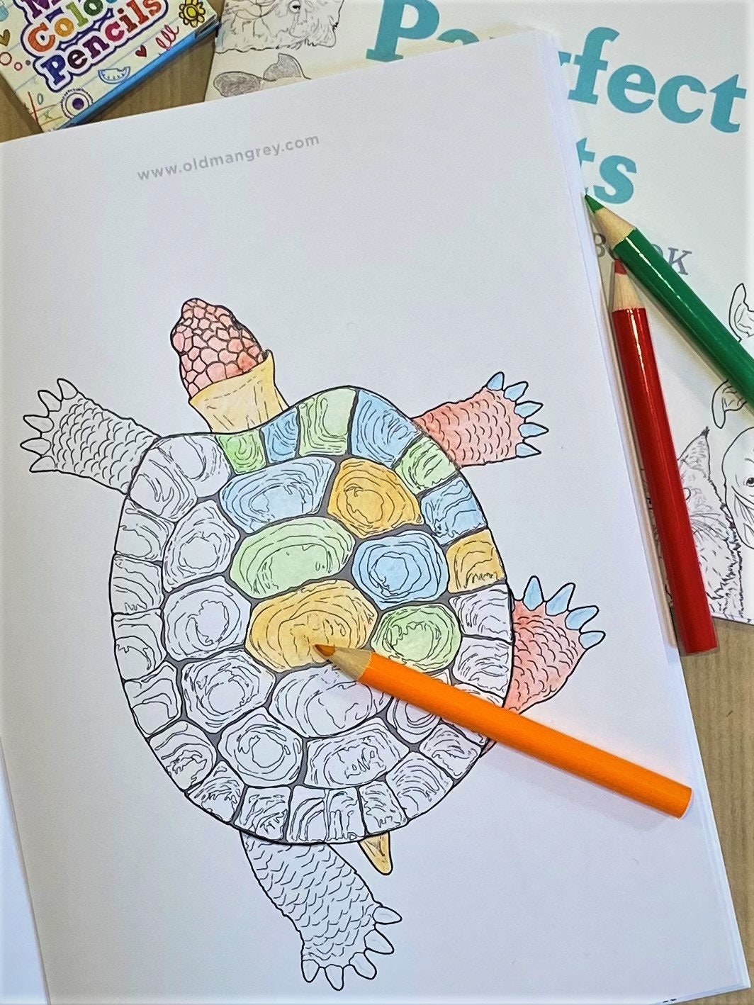 Pawfect Pets Animal Colouring / Activity Book and Pack of 6 - Etsy UK