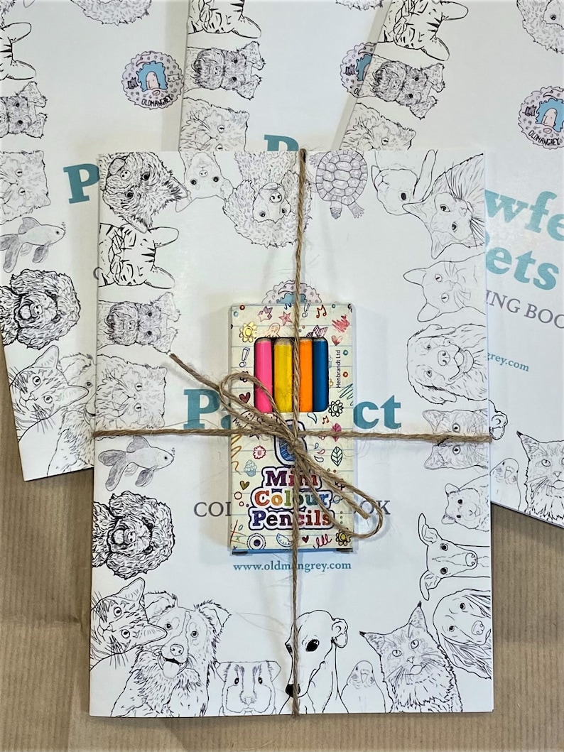 Pawfect Pets Animal Colouring / Activity Book and Pack of 6 Pencils ...