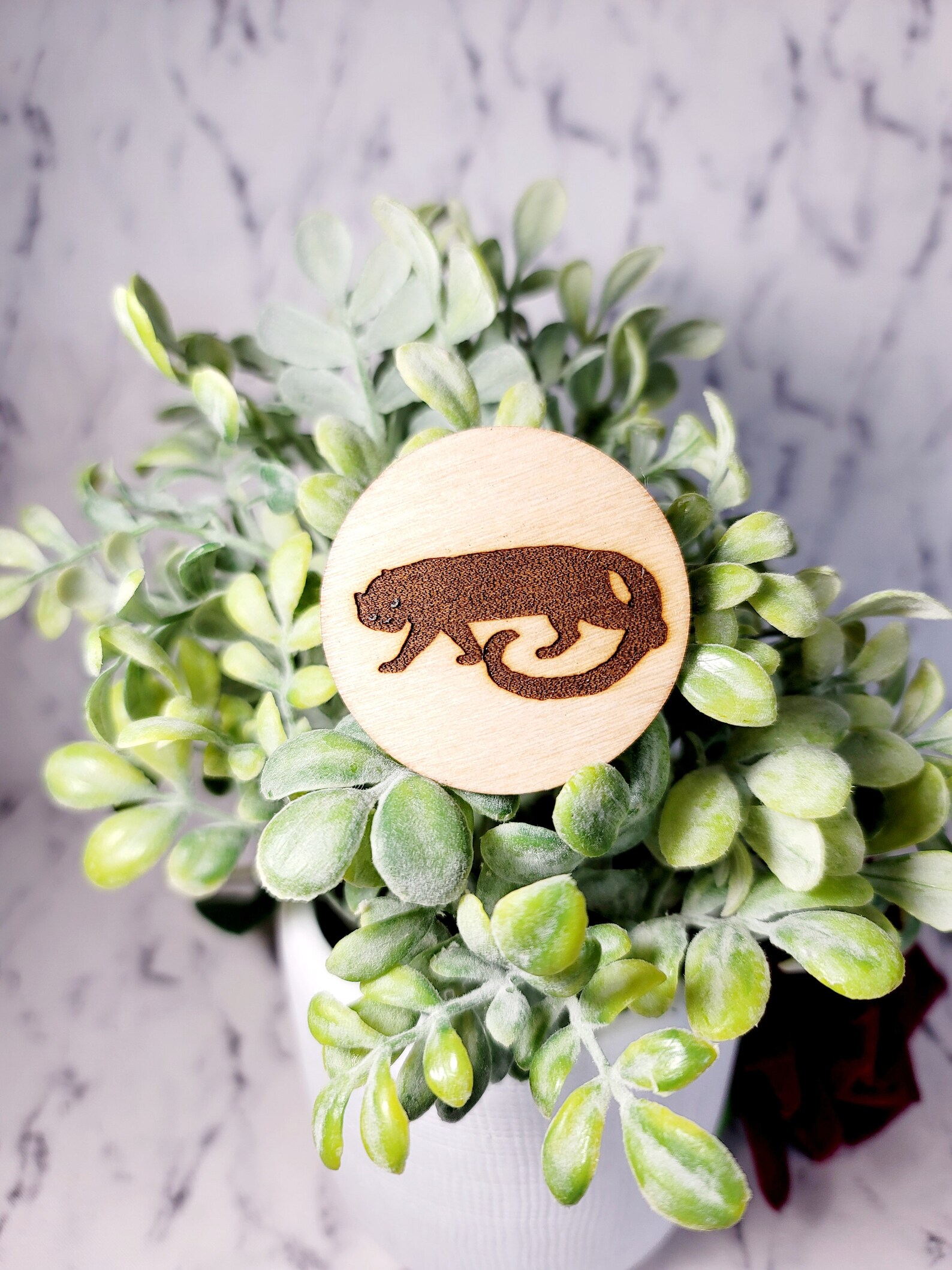 Wampus Cat Cryptid Magnet Cryptid Decor Monster Magnet - Etsy