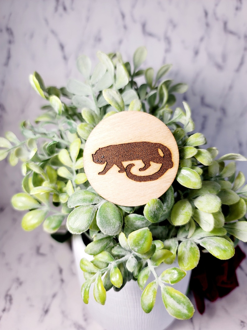 Wampus Cat Cryptid Magnet Cryptid Decor Monster Magnet - Etsy