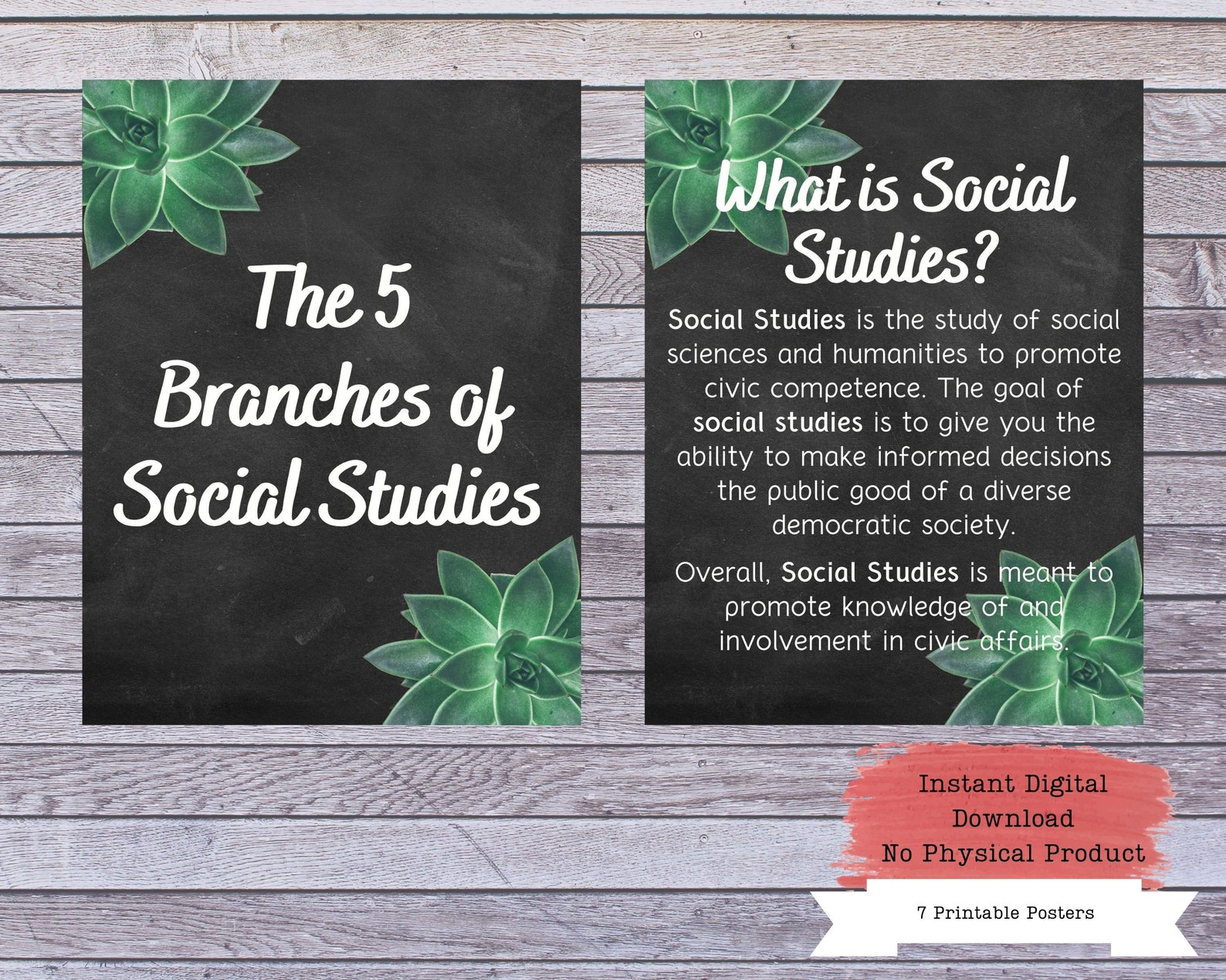 Social Studies Branches History Classroom History Class - Etsy