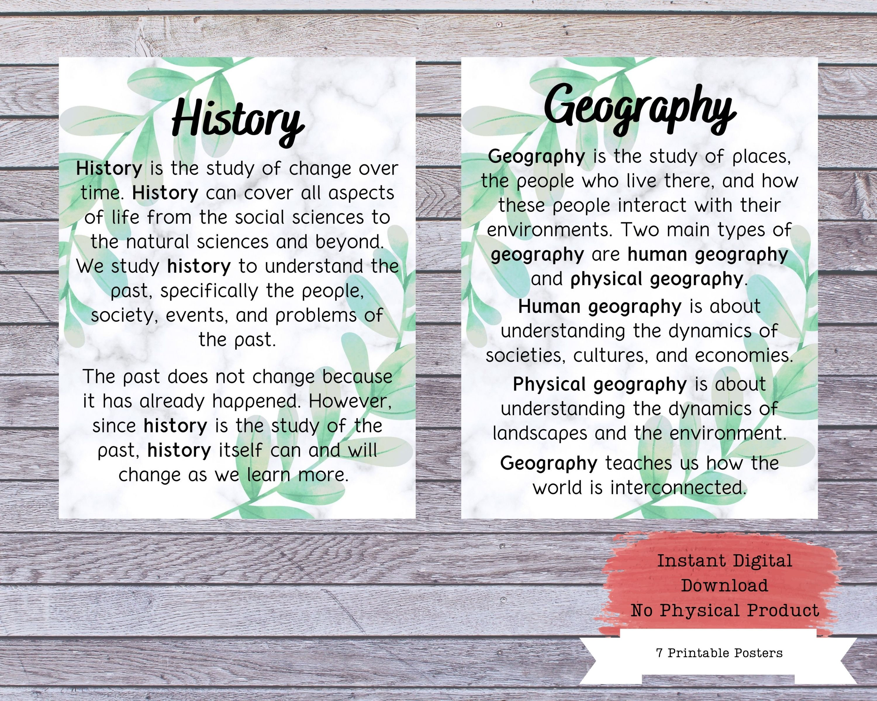 Social Studies Branches, History Classroom, History Class, History ...