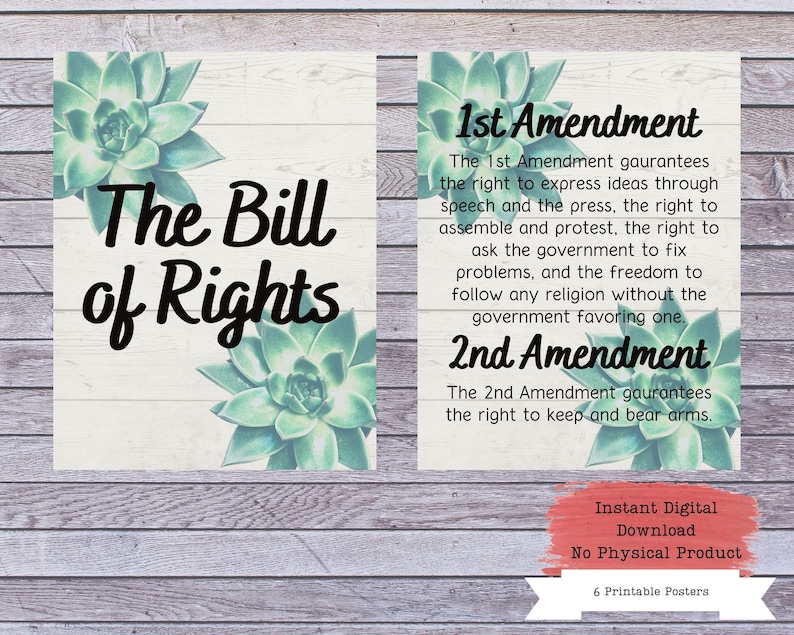 Bill of Rights Printable Poster Set US Constitution Wall Art | Etsy
