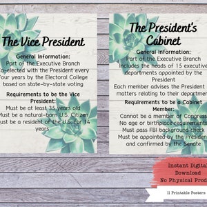 US Government Posters, History Decor, History Poster, Social Studies ...