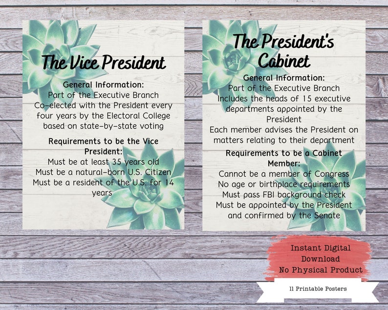 US Government Posters, History Decor, History Poster, Social Studies ...