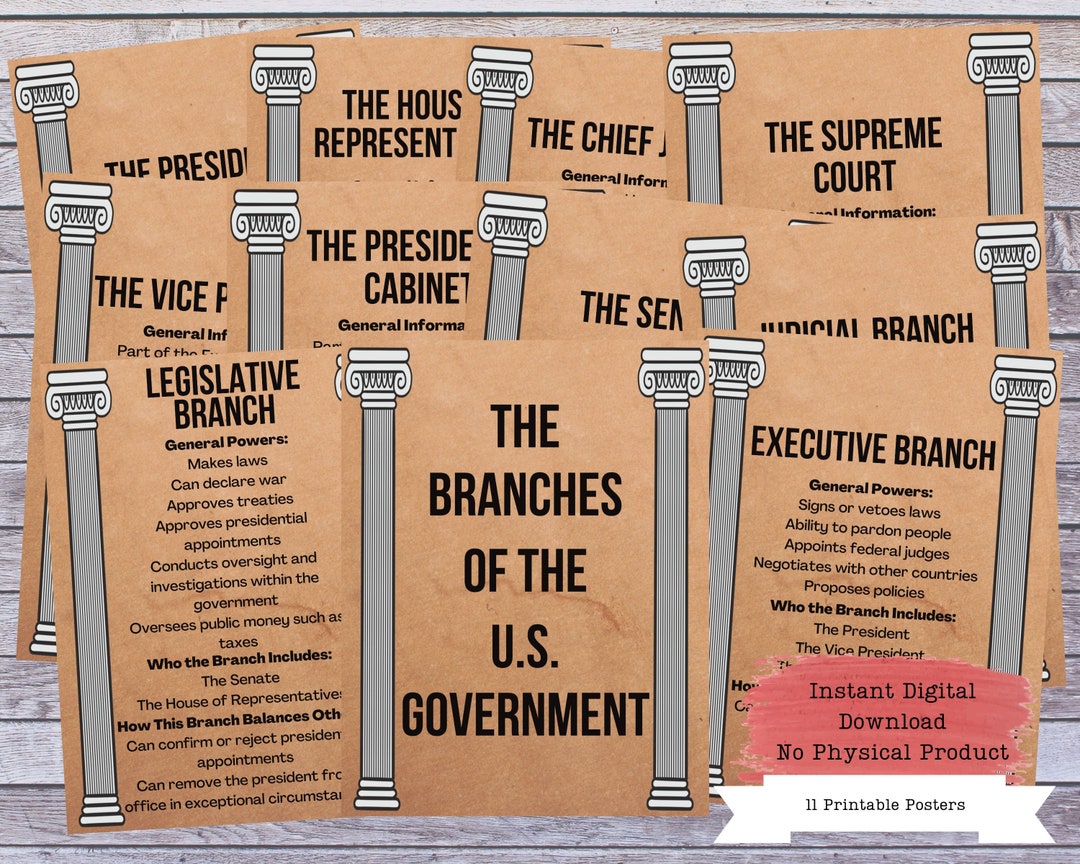 US Government Posters, History Decor, History Poster, Social Studies ...