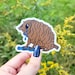 Squonk Cryptid Sticker, Cryptid Art, Cryptid Club, Cryptid Decor ...