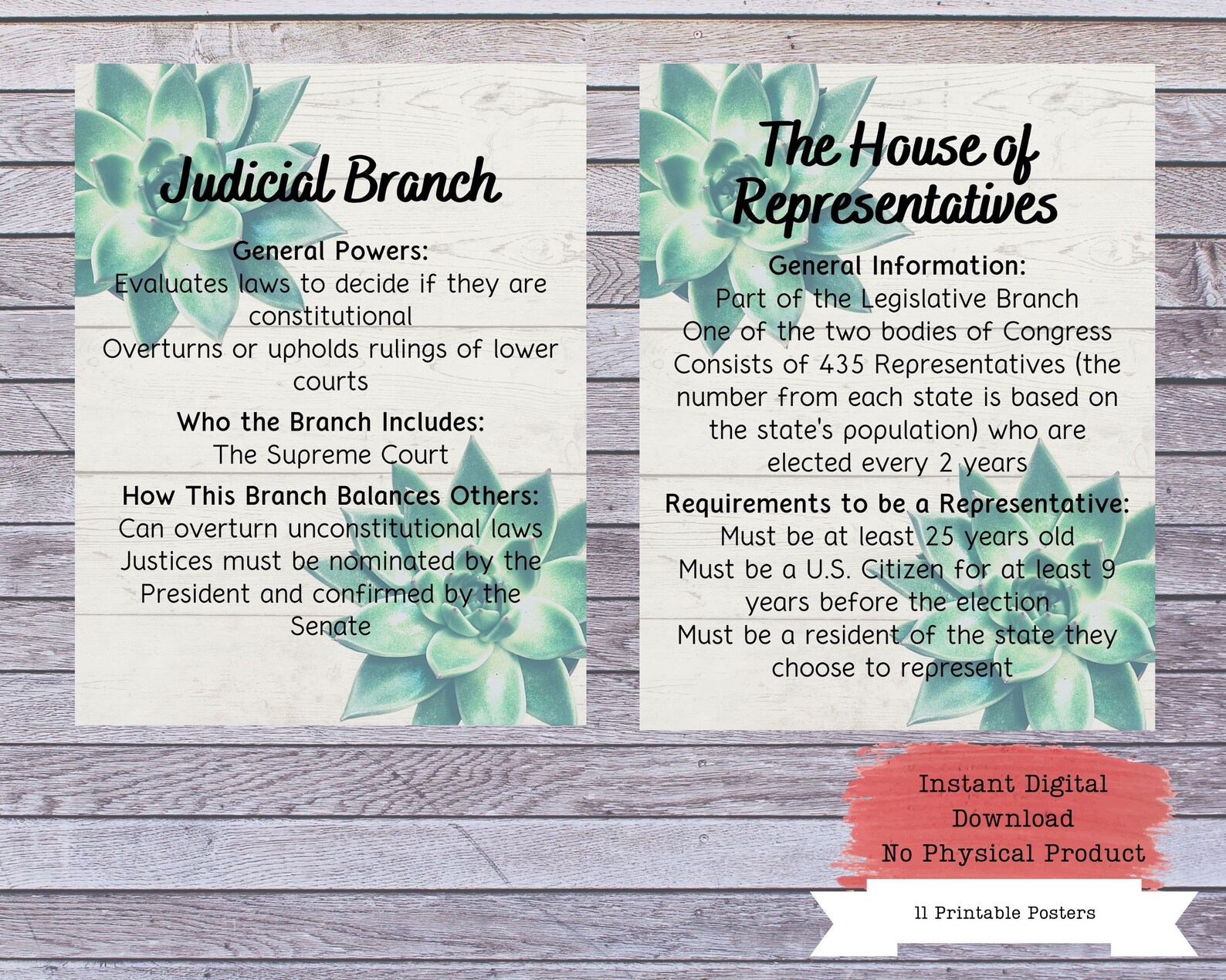 US Government Posters, History Decor, History Poster, Social Studies ...