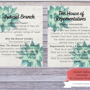 US Government Posters, History Decor, History Poster, Social Studies ...