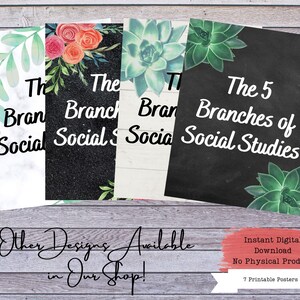 Social Studies Branches, History Classroom, History Class, History ...