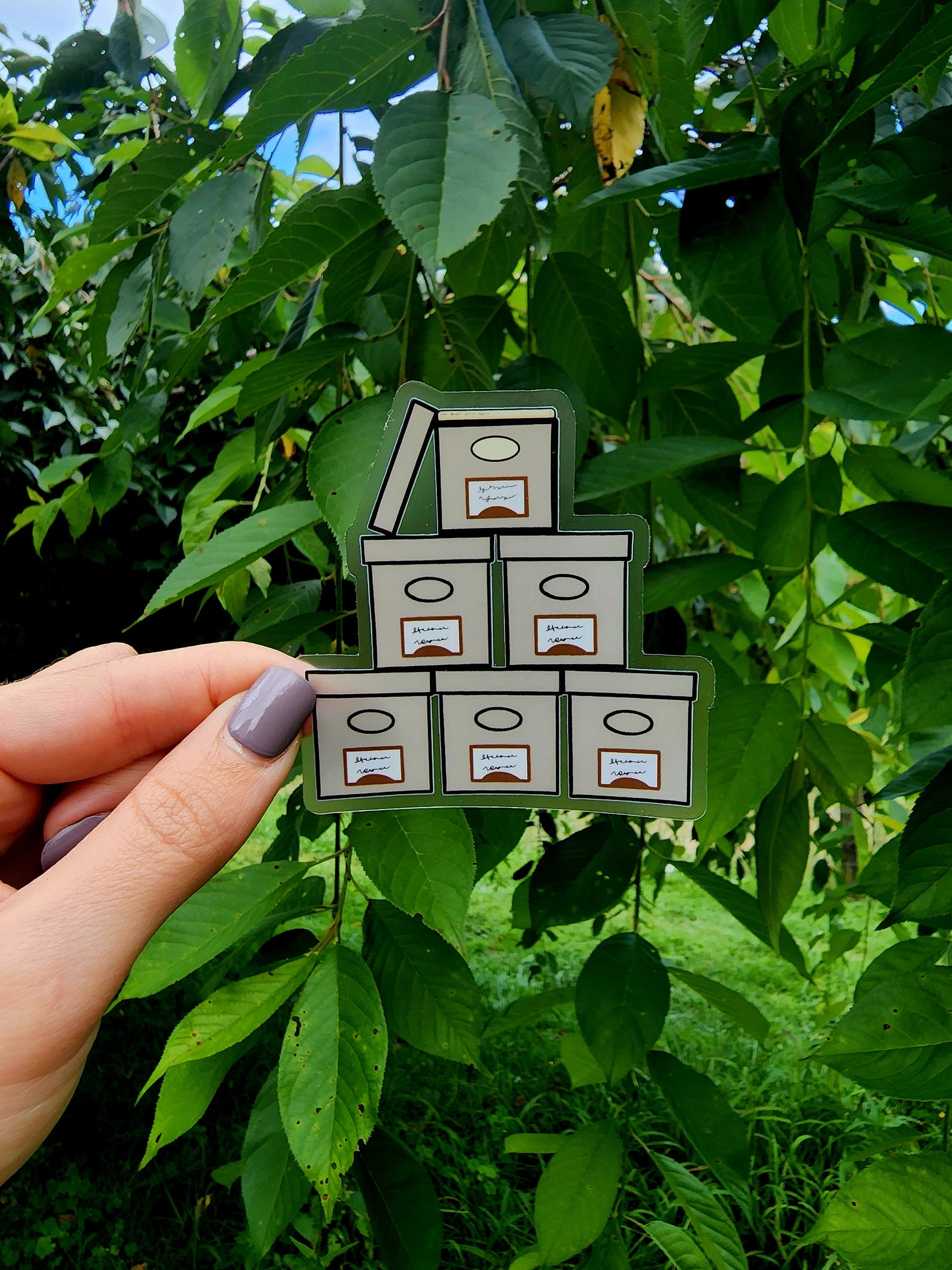 Archival Boxes Clear Sticker Archival Storage Archivist - Etsy