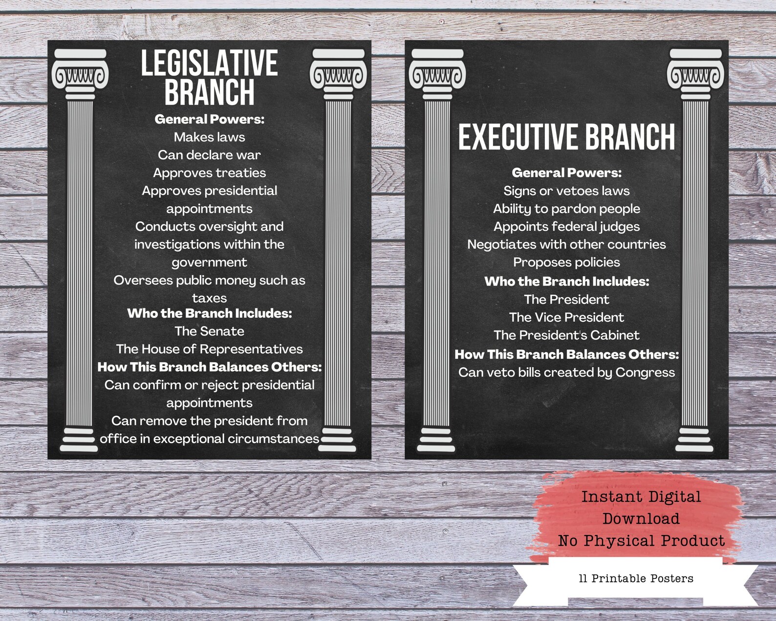 US Government Posters, History Decor, History Poster, Social Studies ...