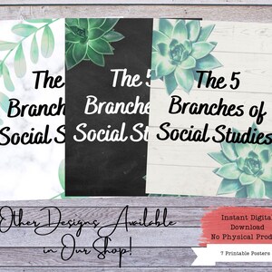 Social Studies Branches, History Classroom, History Class, History ...