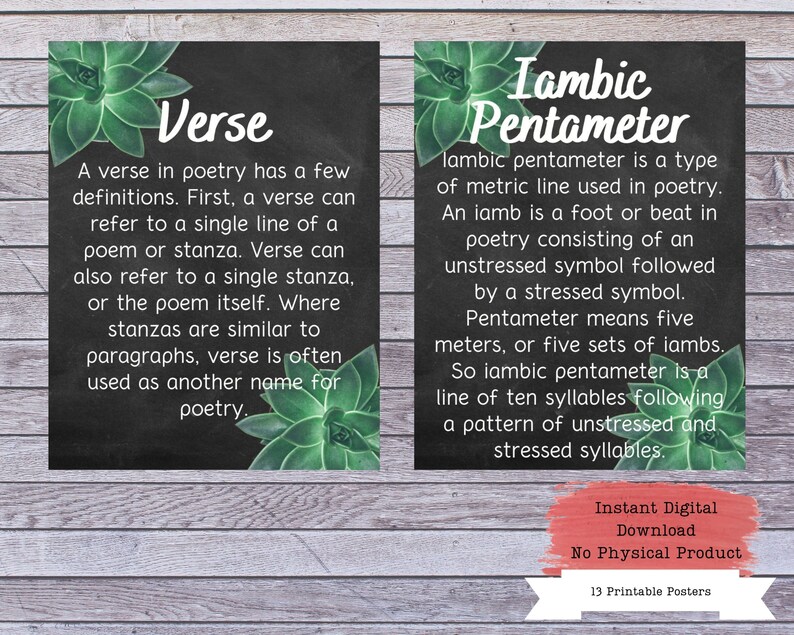 Poetry Terms Printable Poster Set Literary Devices | Etsy
