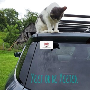 Yeet or Be Yeeted, Meme Gifts, Meme Life, Yeet Decal, Yeet Sticker ...