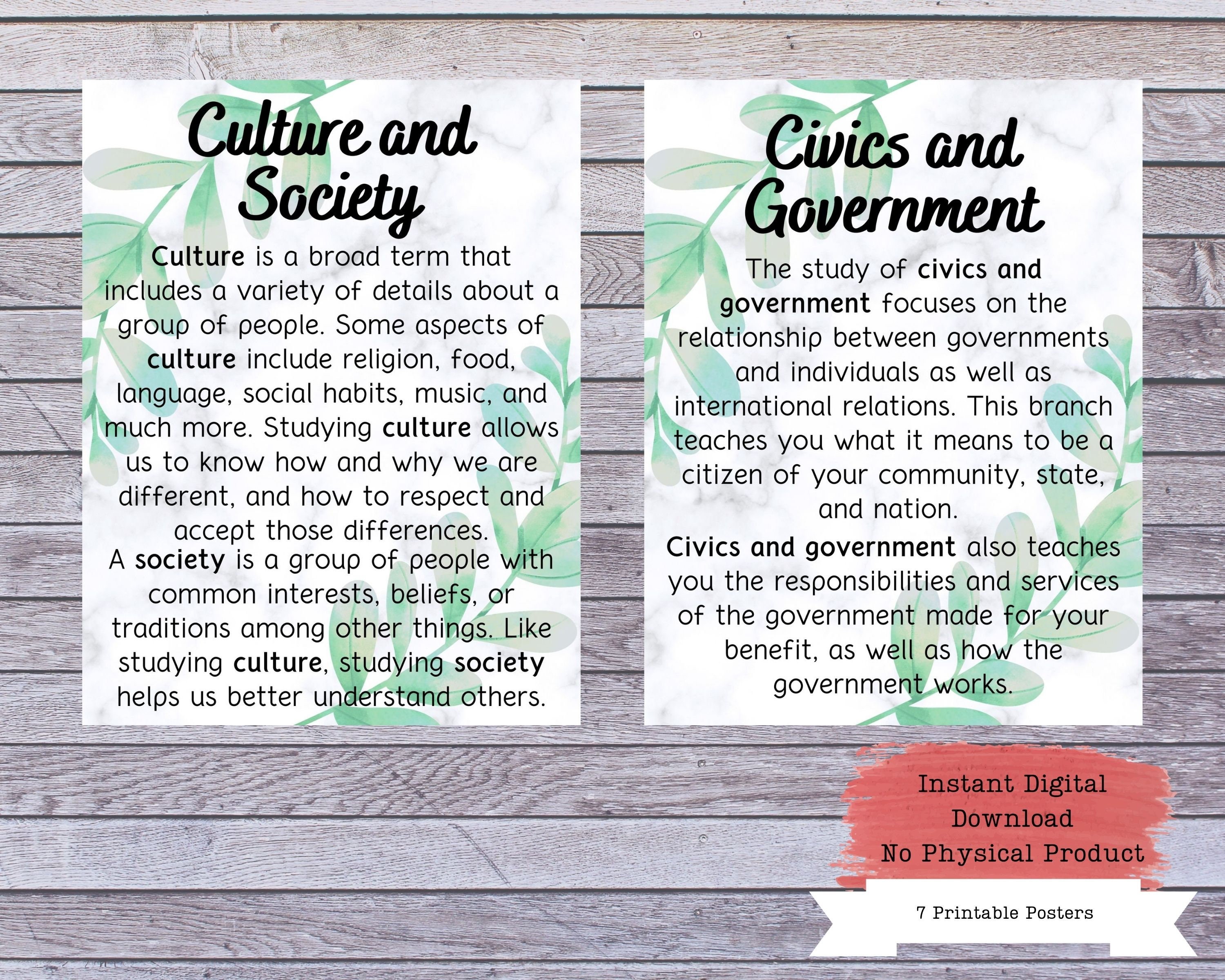 Social Studies Branches, History Classroom, History Class, History ...