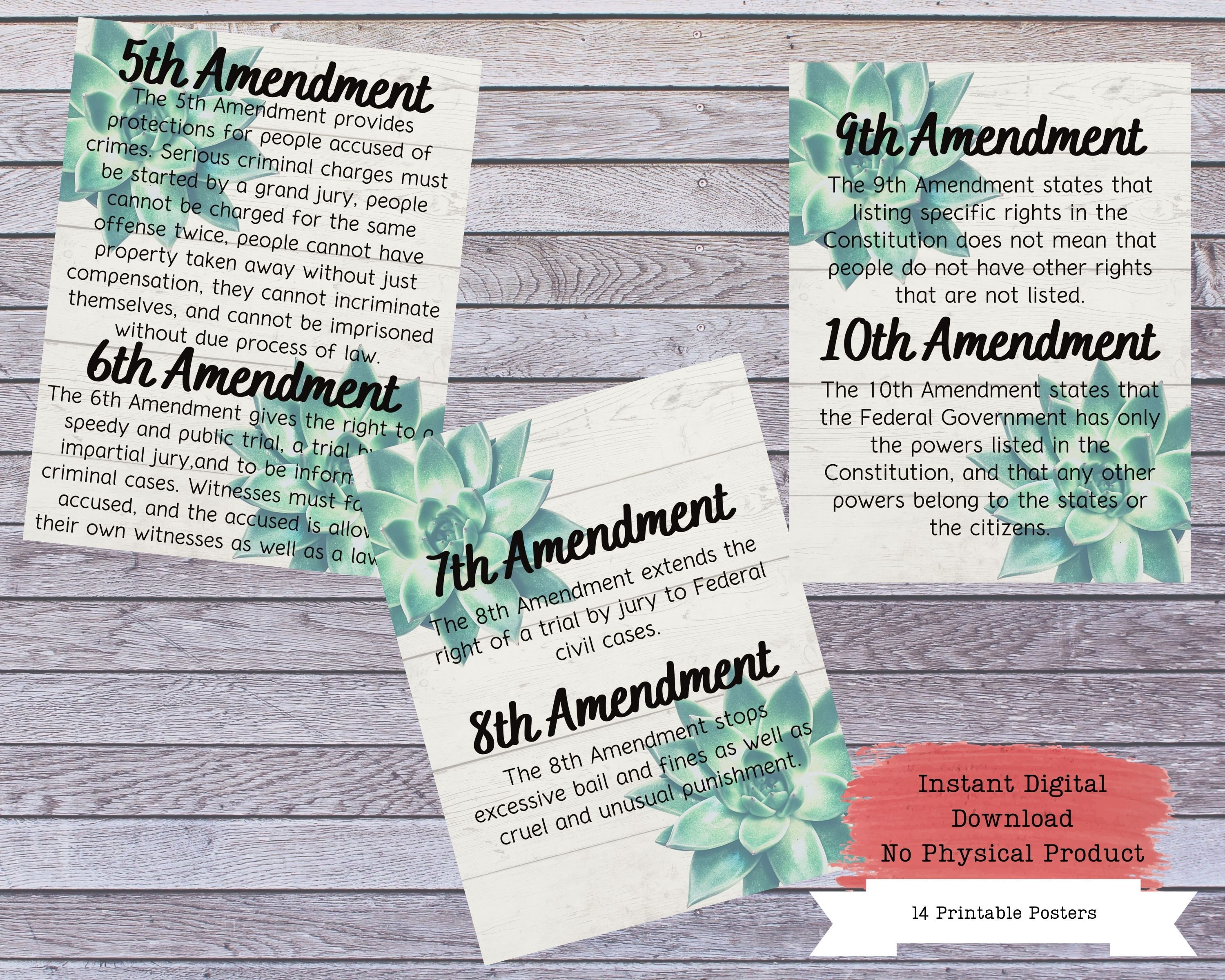 US Amendments Printable Poster Set, US Constitution Wall Art, Bill of ...