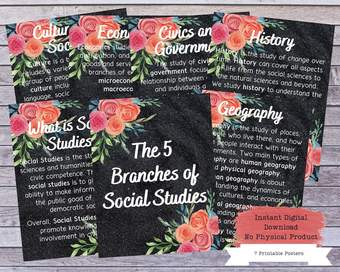 Social Studies Branches, History Classroom, History Class, History ...