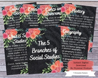 Social Studies Branches, History Classroom, History Class Posters ...