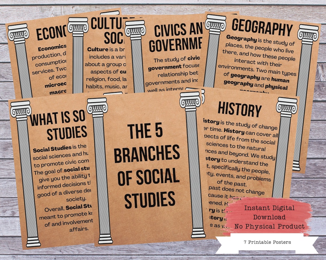 Social Studies Branches, History Classroom, History Class, History ...