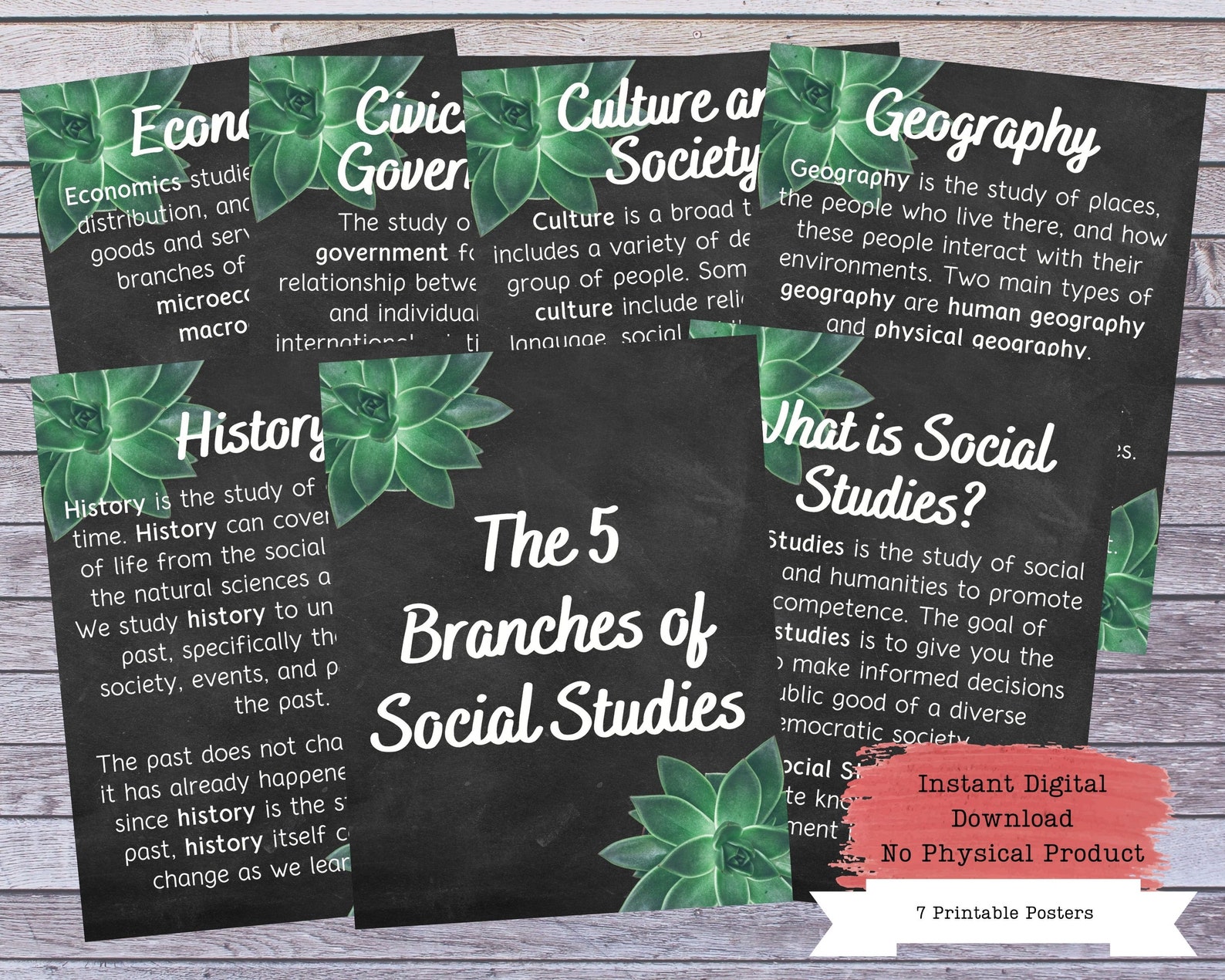 Social Studies Branches History Classroom History Class - Etsy