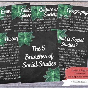 Social Studies Branches, History Classroom, History Class, History ...