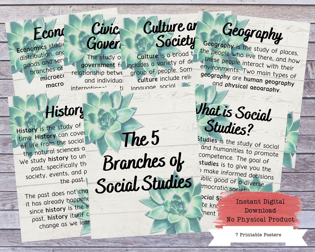 Social Studies Branches History Classroom History Class - Etsy