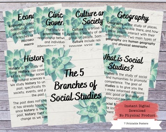 Social Studies Branches, History Classroom, History Class Posters ...