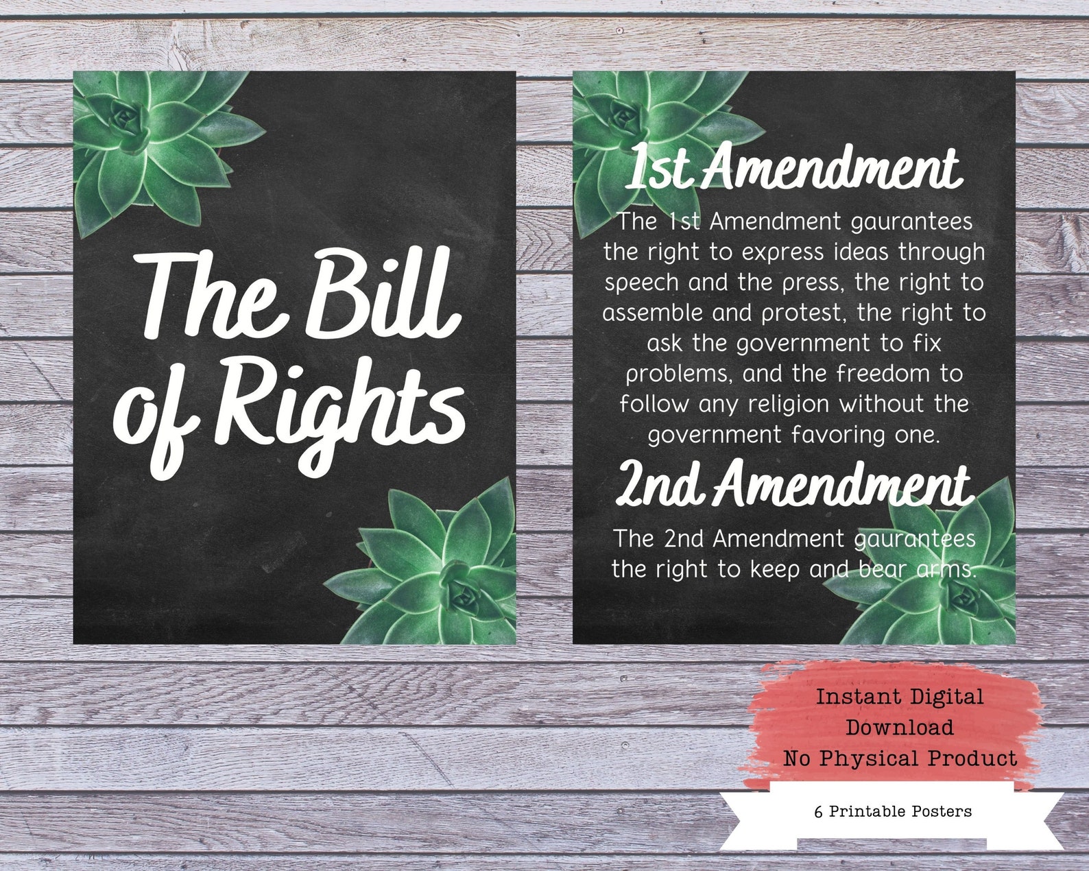 Bill of Rights Printable Poster Set US Constitution Wall Art - Etsy