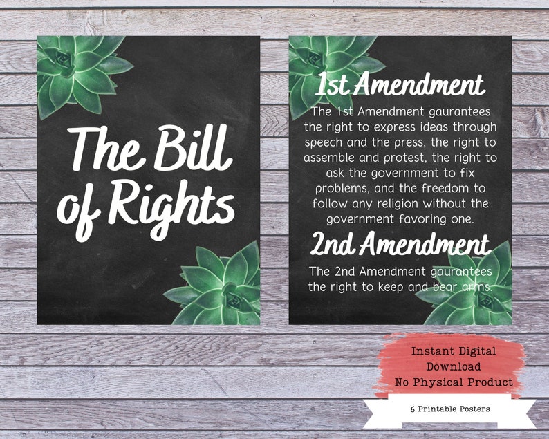 Bill of Rights Printable Poster Set US Constitution Wall Art - Etsy