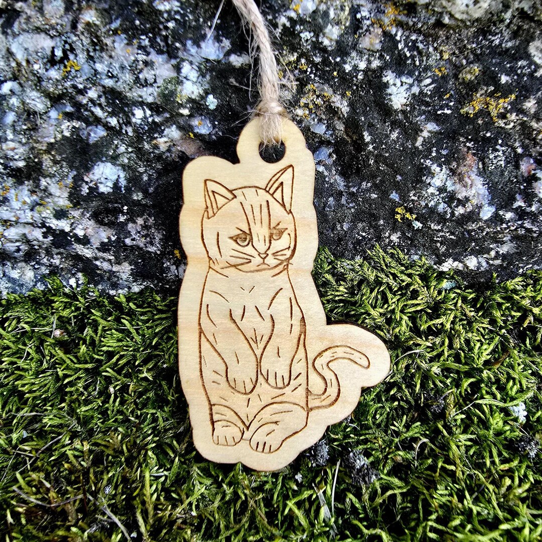 Disgruntled Cat Meme Ornament, Cat Ornament, Kitty Ornament, Weird Cat ...