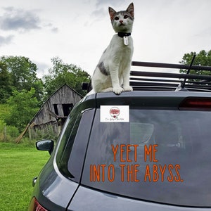 Yeet Me Into the Sun, Yeet Decal, Meme Gifts, Yeet or Be Yeeted, Meme ...