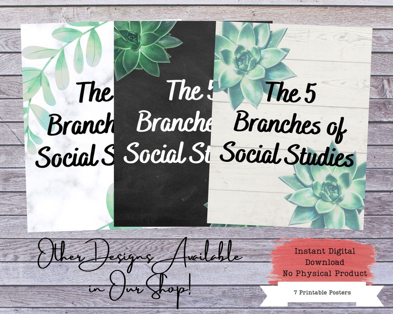 Social Studies Branches History Classroom History Class - Etsy