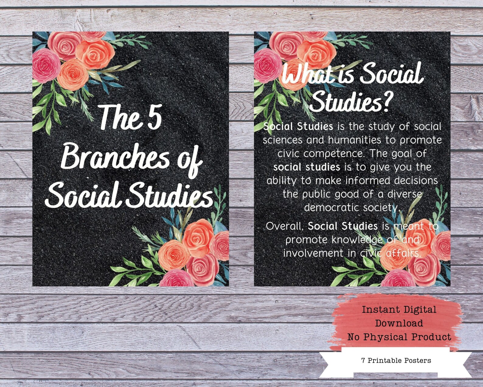 Social Studies Branches History Classroom History Class - Etsy