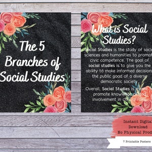 Social Studies Branches, History Classroom, History Class, History ...