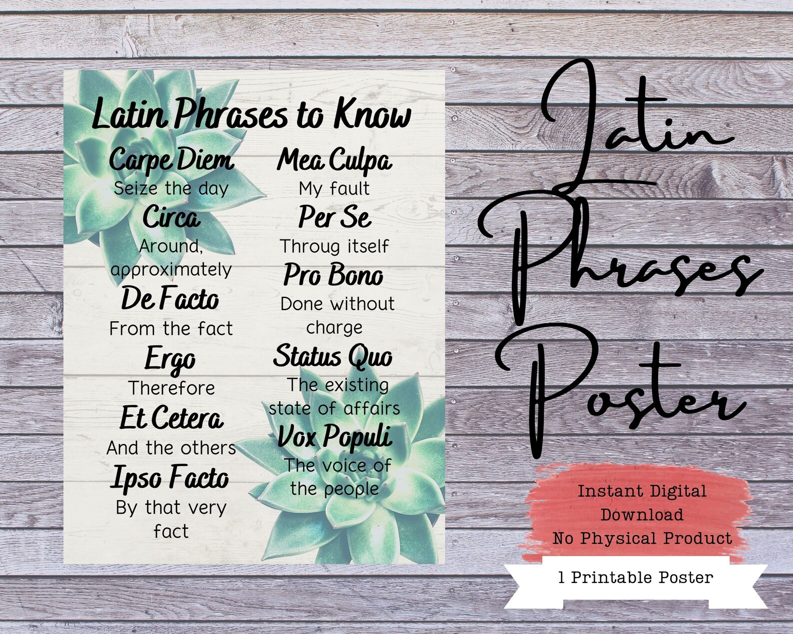 Latin Phrases Latin Poster Classroom Posters Classroom | Etsy